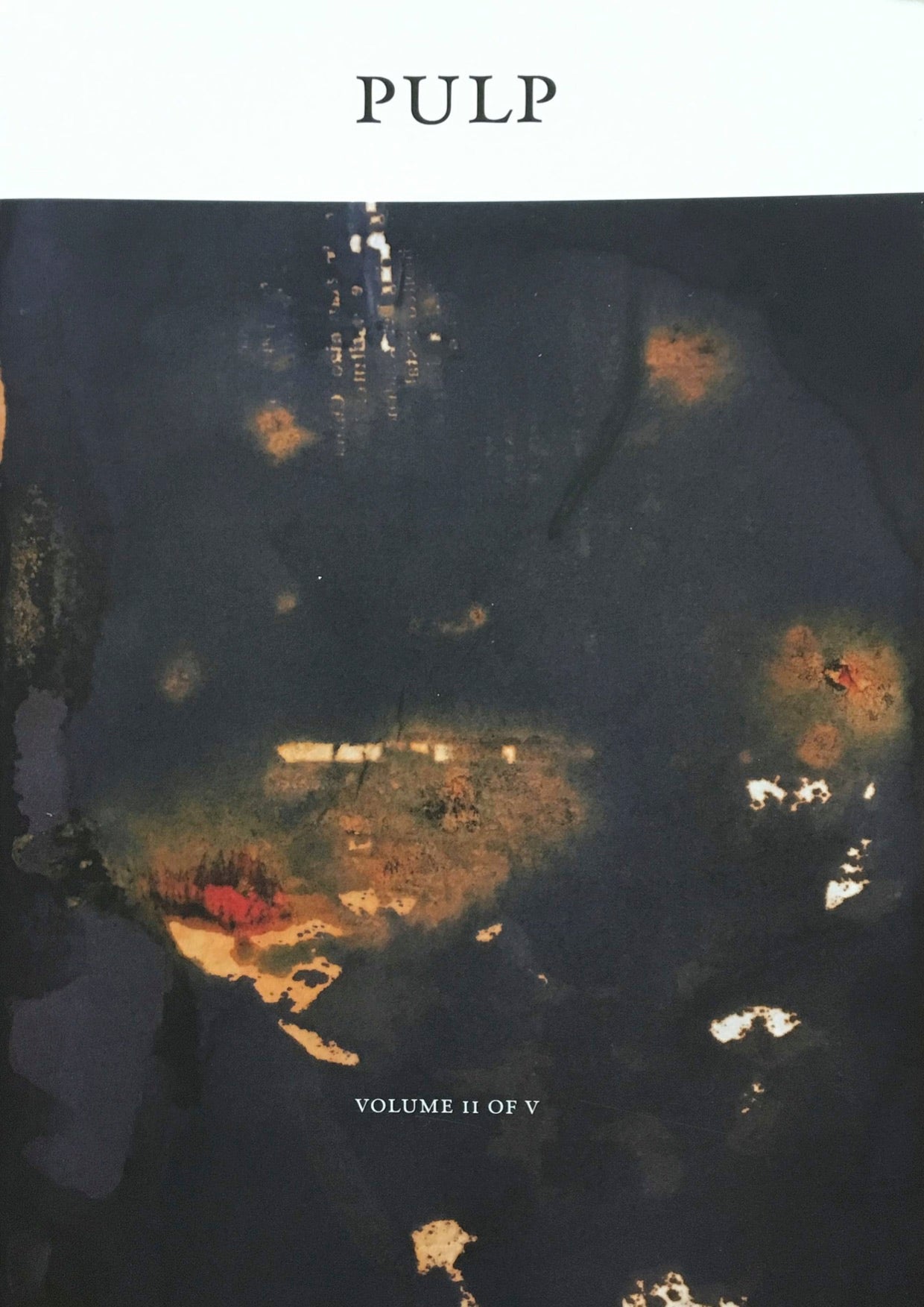 Pulp II: A Visual History of the Banished Book (9789811183799) – Bookshop.sg