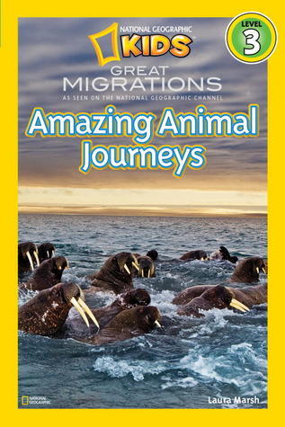 Great Migrations: Amazing Animal Journeys (9781426307416) – Bookshop.sg