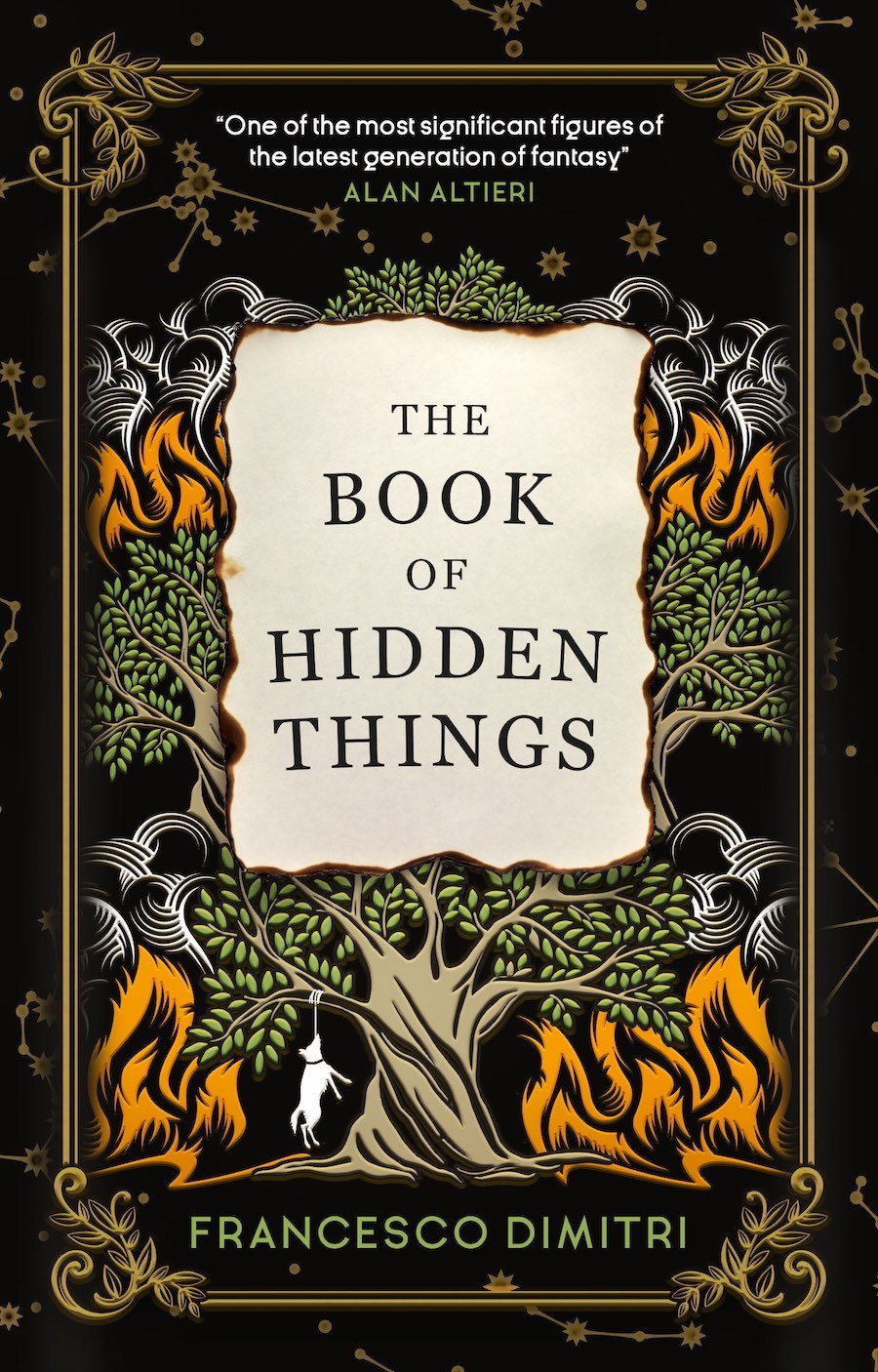 The Book of Hidden Things by Francesco Dimitri (9781785657078 ...