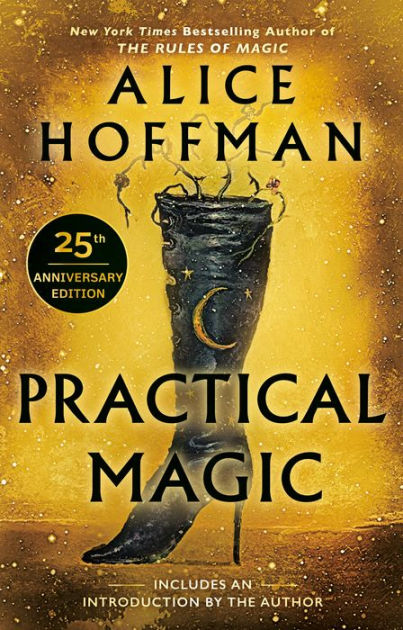 Practical Magic by Alice Hoffman (9780425190371) – Bookshop.sg