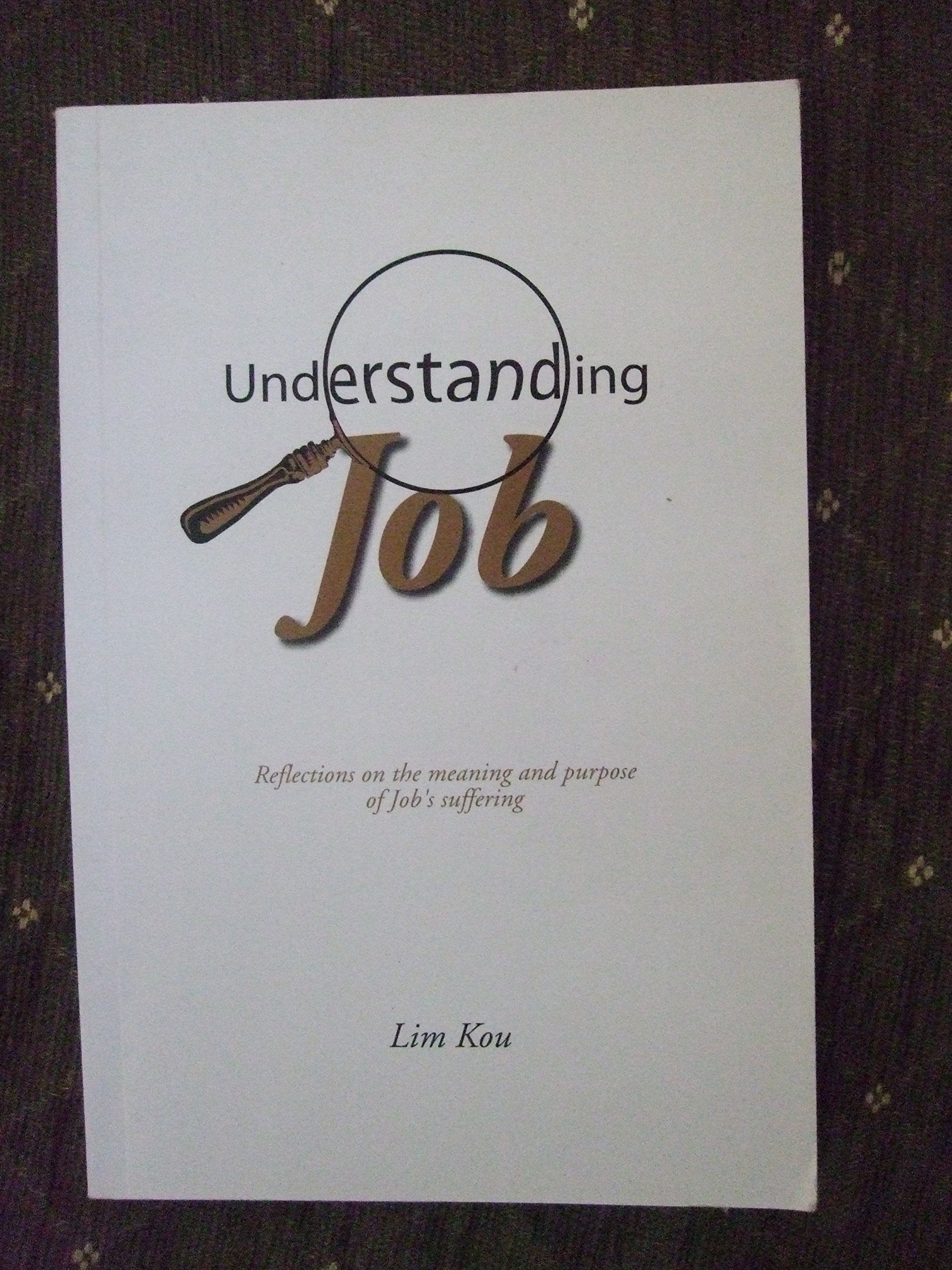 Understanding Job: Reflections On The Meaning And P... (9789810481315 ...