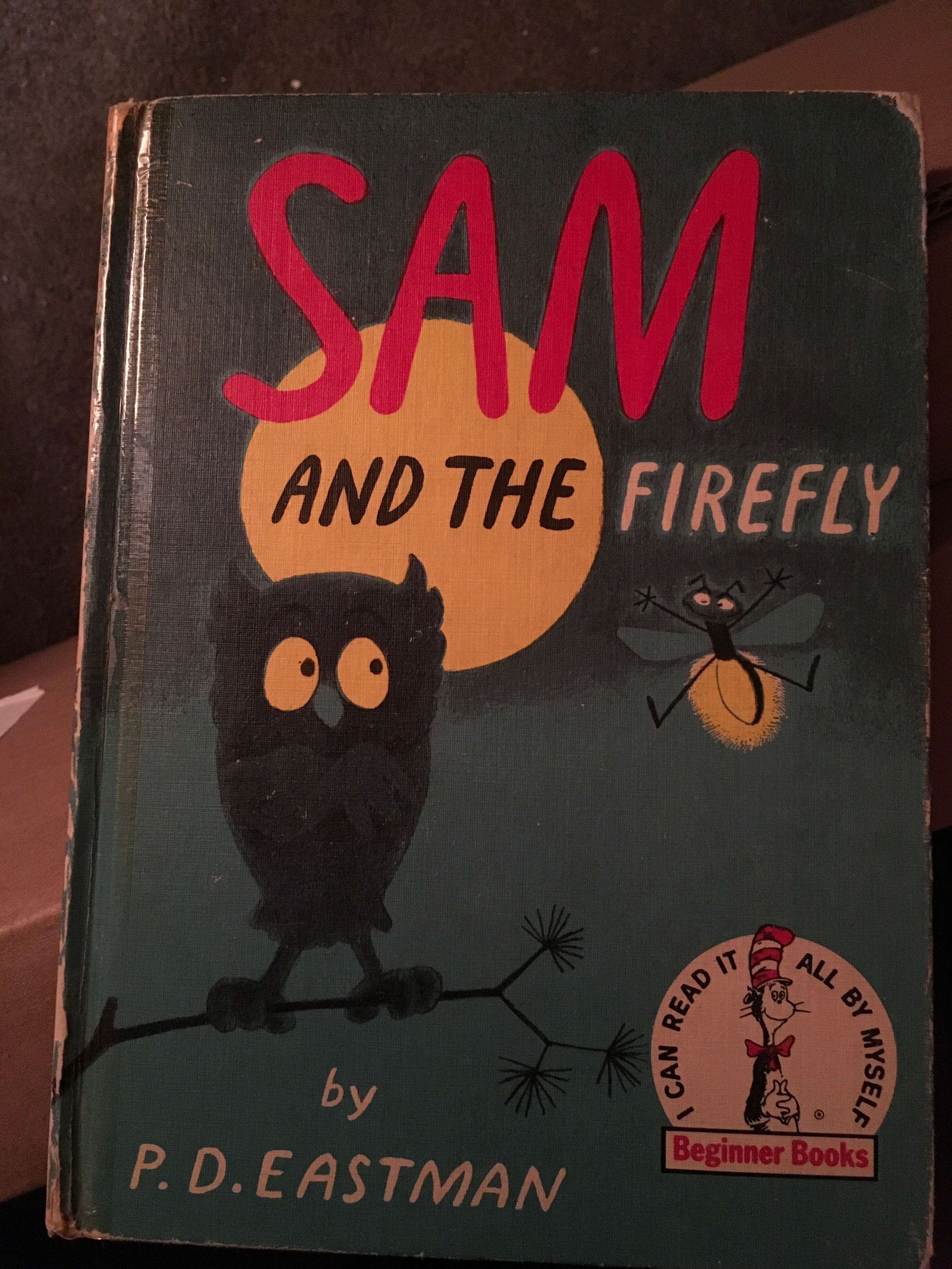 Sam And The Firefly by P.D. Eastman (9780394800066) – Bookshop.sg